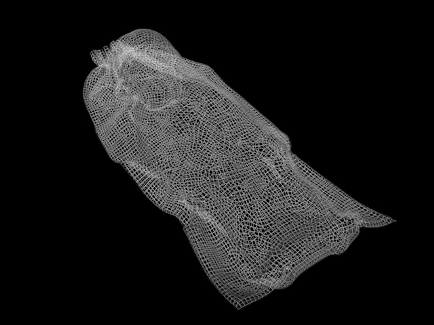 Body bag corpse bodybag 3D model - TurboSquid 1504581