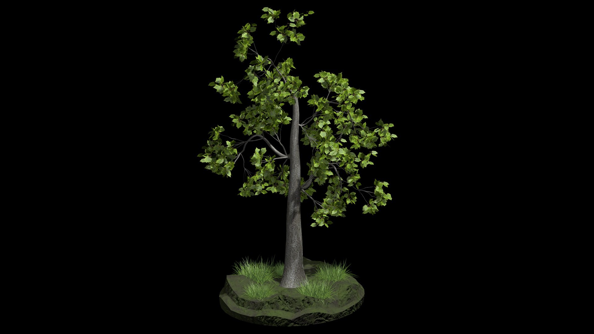 3D Tree Fairy Model - TurboSquid 1703973