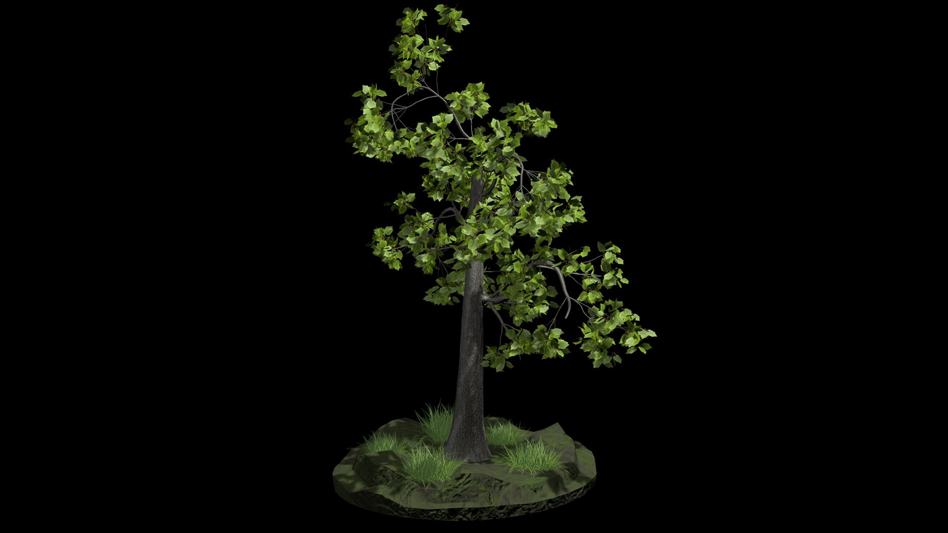 3D Tree Fairy Model - TurboSquid 1703973