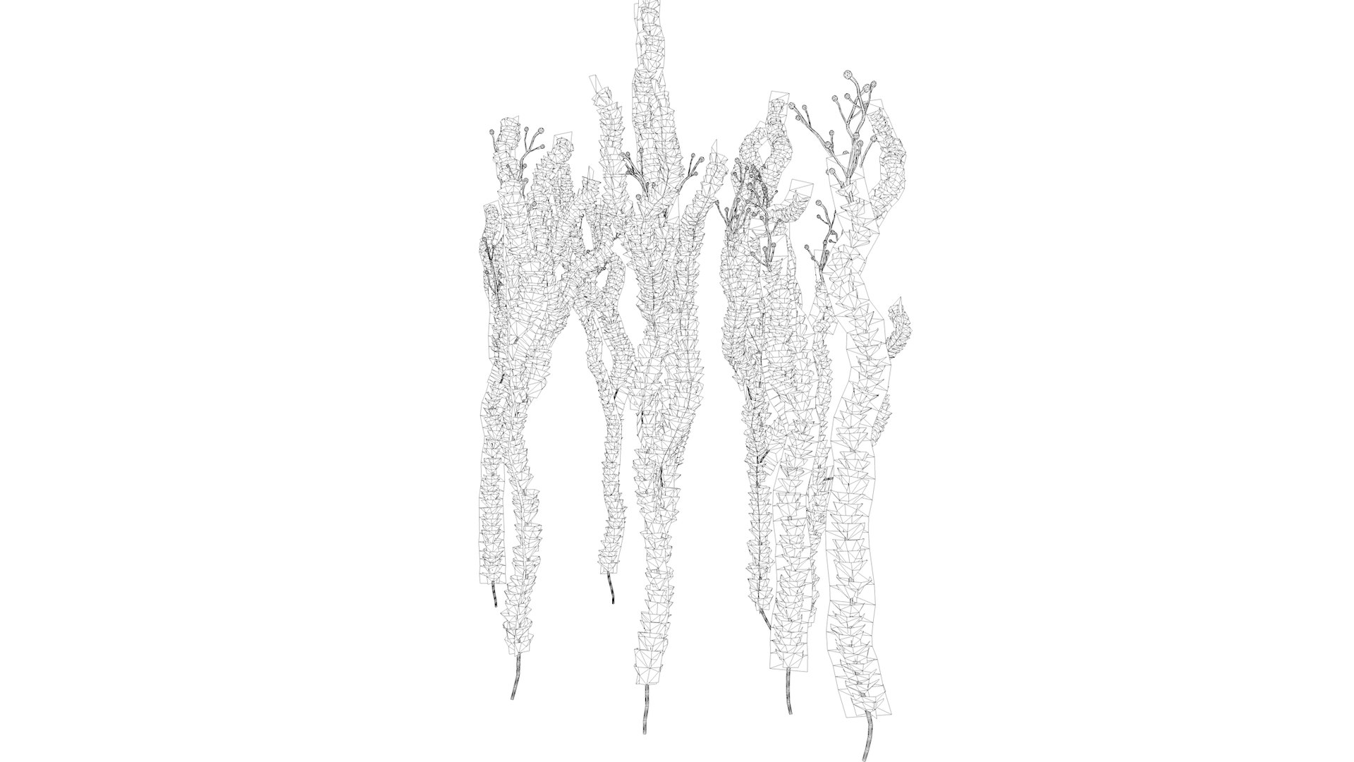 3D Sagebrush Plant - 05 - Model - TurboSquid 2372877