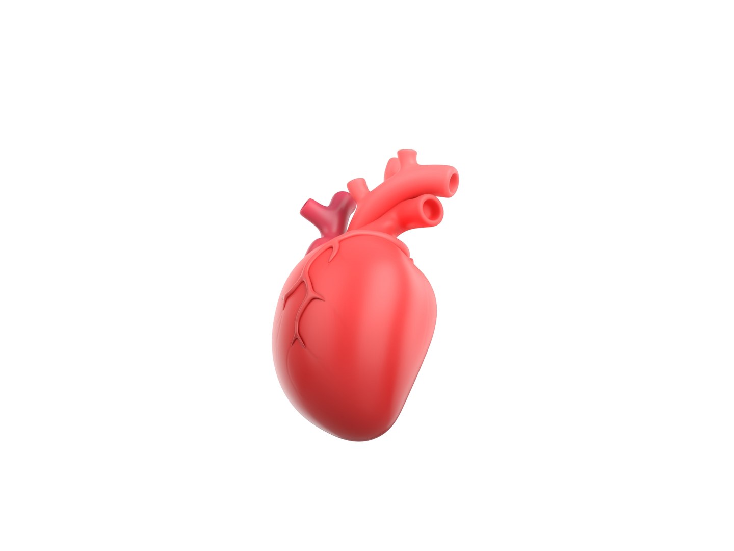 Cartoon Human Heart 3D Model - TurboSquid 2191644