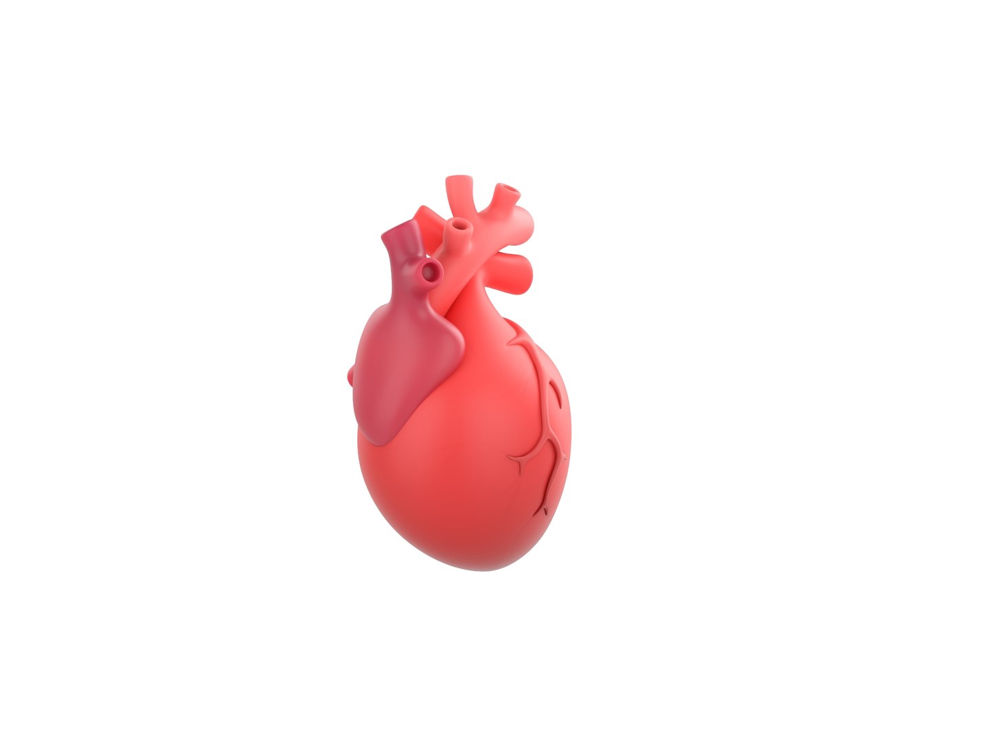 Cartoon Human Heart 3D Model - TurboSquid 2191644