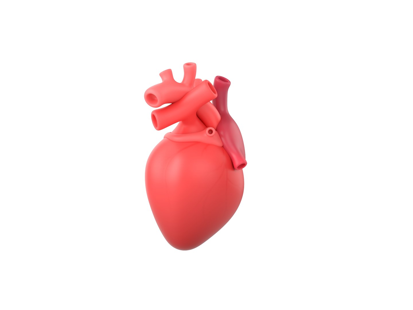 Cartoon Human Heart 3D Model - TurboSquid 2191644