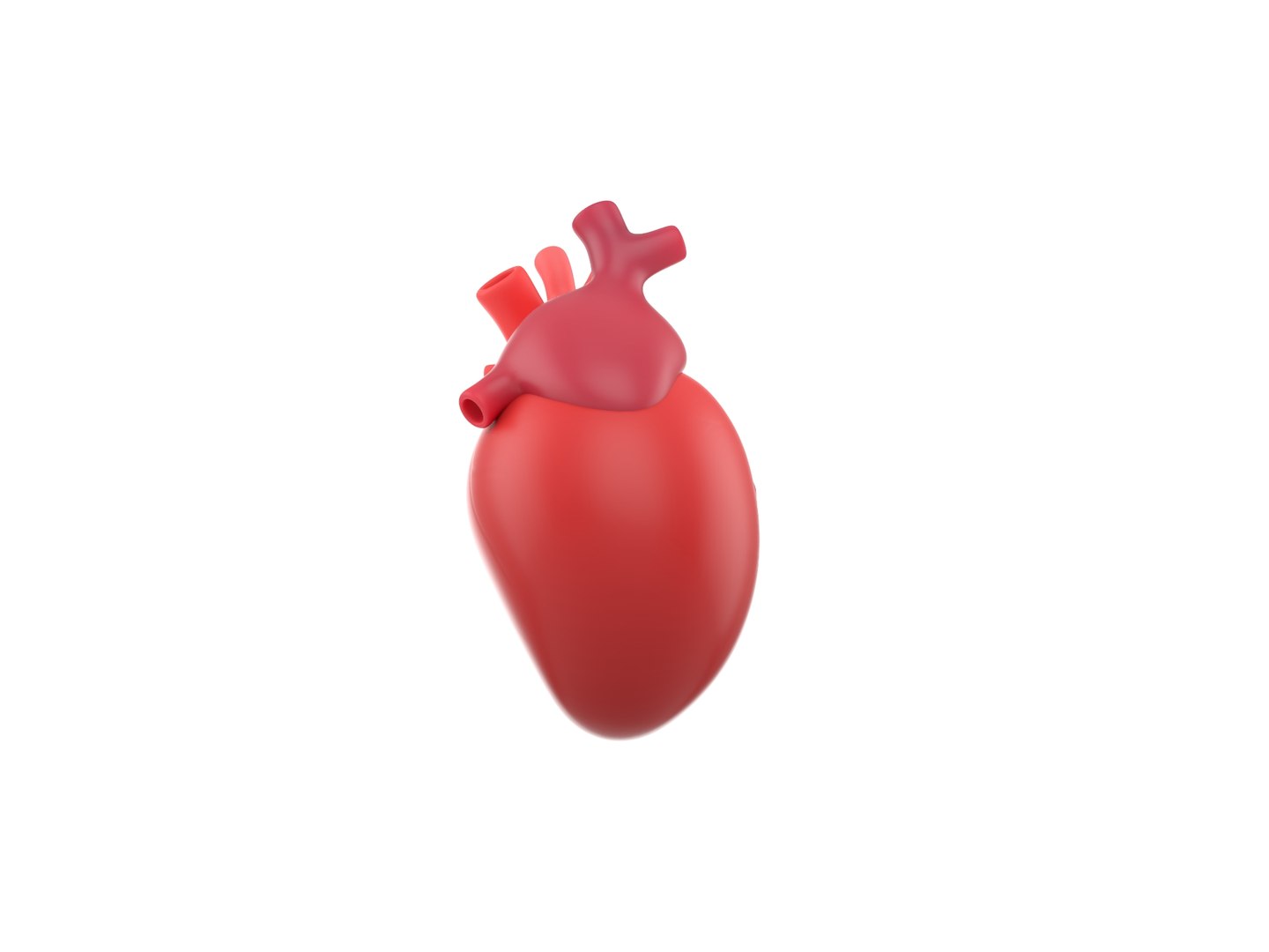 Cartoon Human Heart 3D Model - TurboSquid 2191644