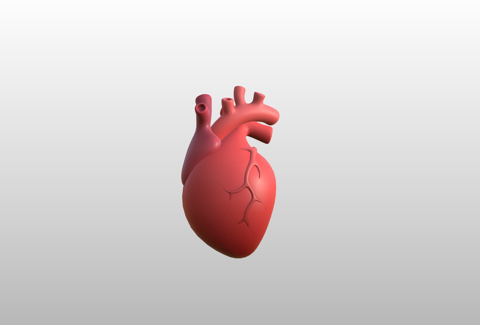 Cartoon Human Heart 3D Model - TurboSquid 2191644