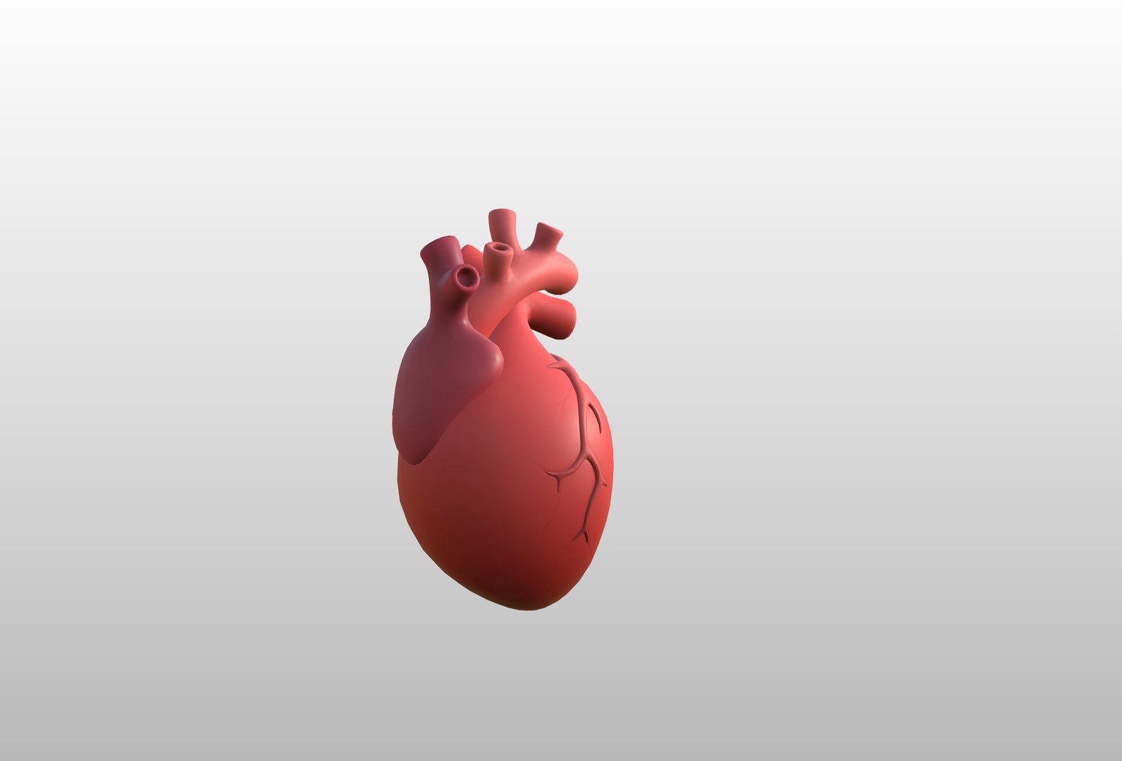 Cartoon Human Heart 3D Model - TurboSquid 2191644
