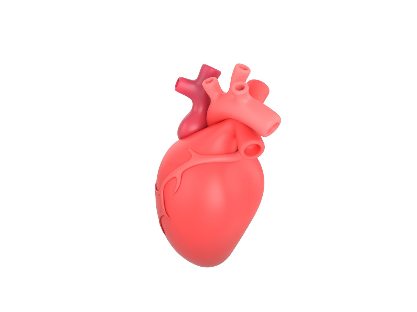 Cartoon Human Heart 3D Model - TurboSquid 2191644
