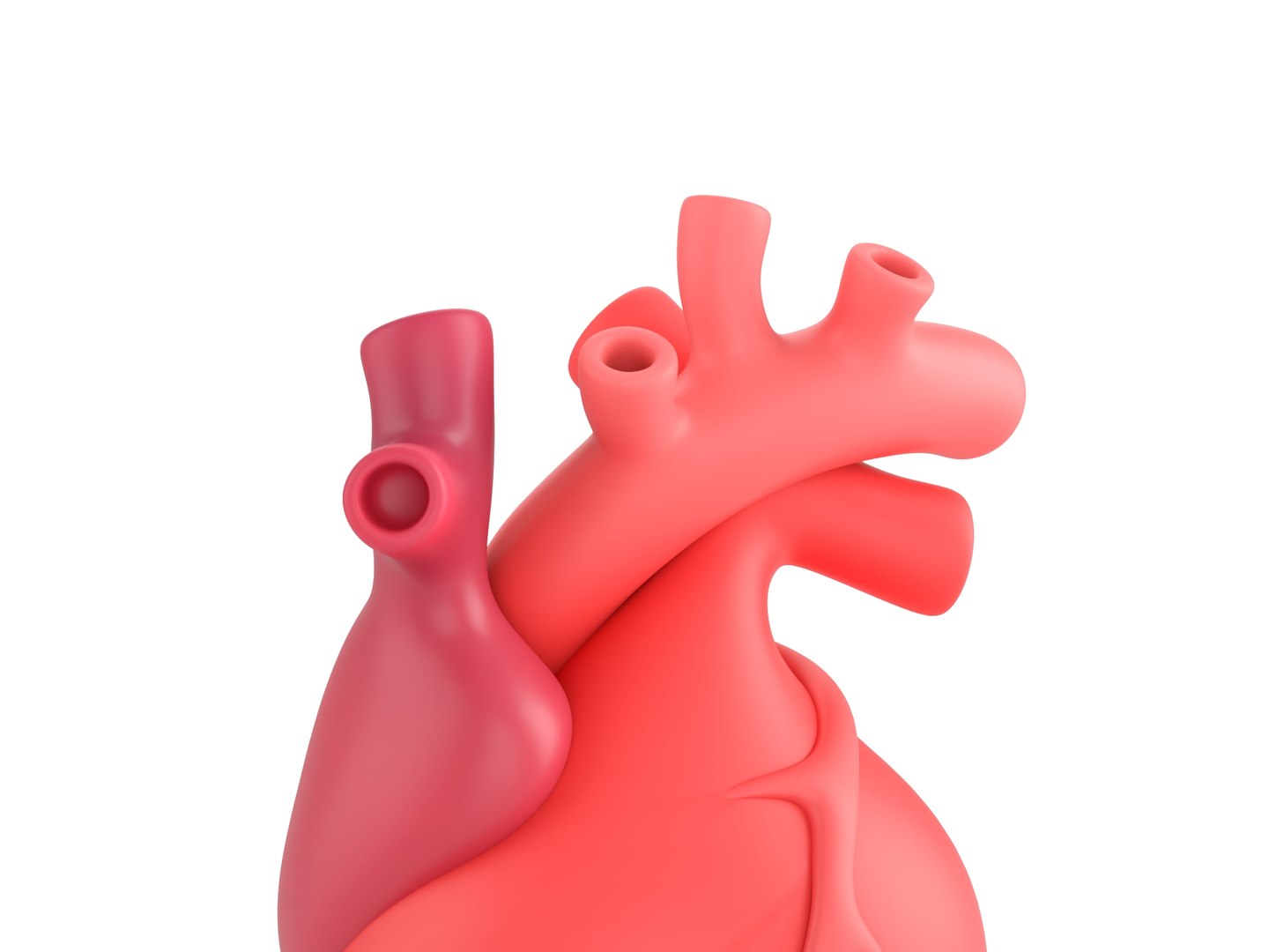 Cartoon Human Heart 3D Model - TurboSquid 2191644