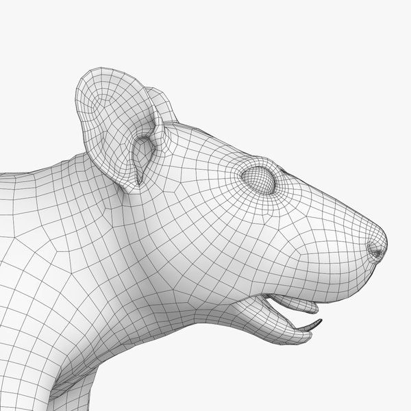 3D model realistic rat mouth - TurboSquid 1477561
