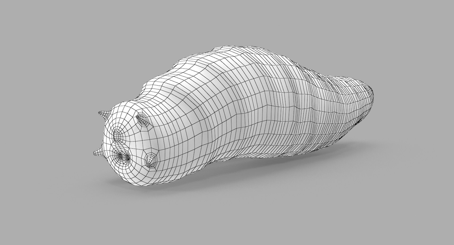 Maggot 3D Model - TurboSquid 1198689