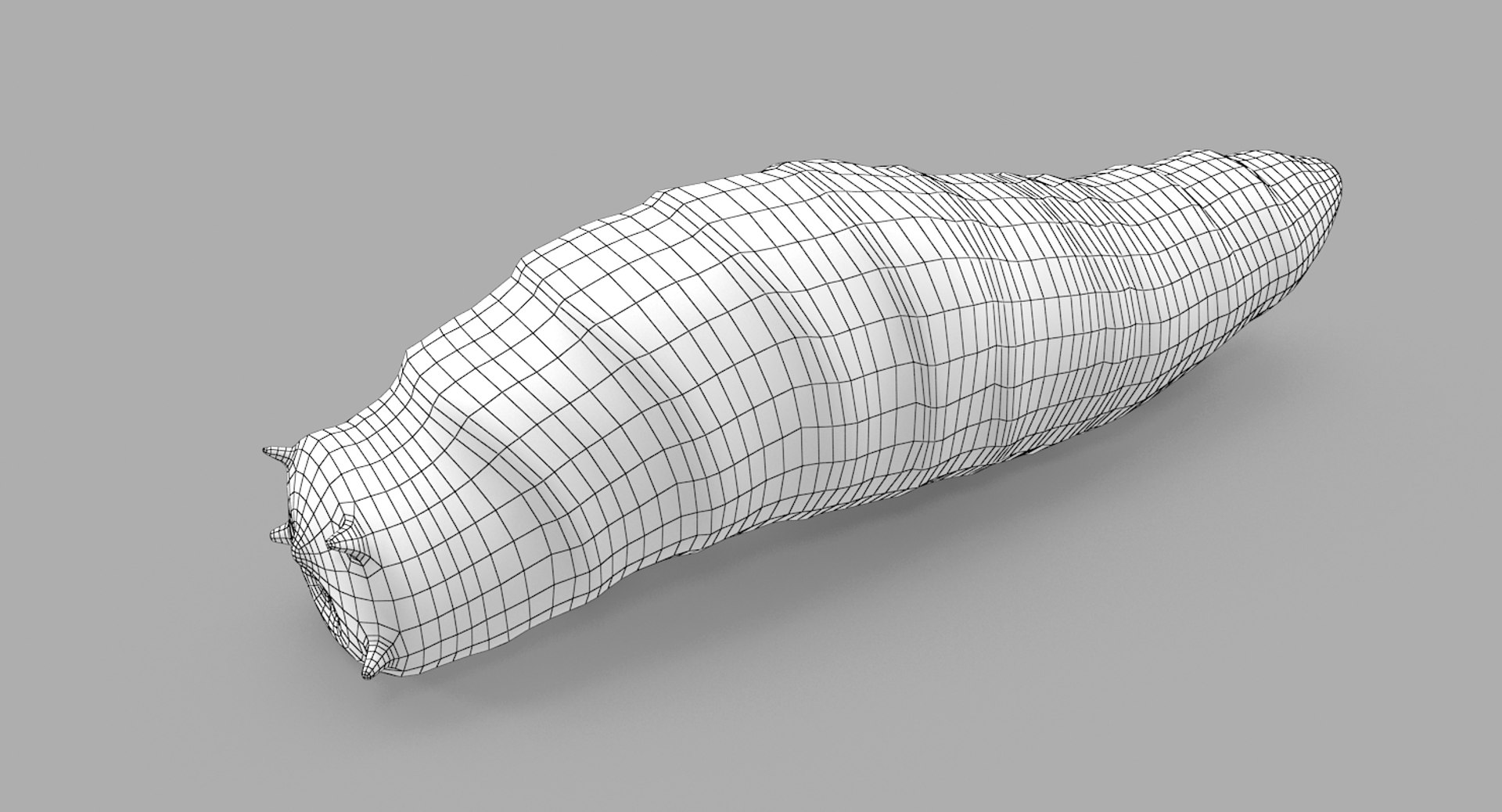 Maggot 3D Model - TurboSquid 1198689