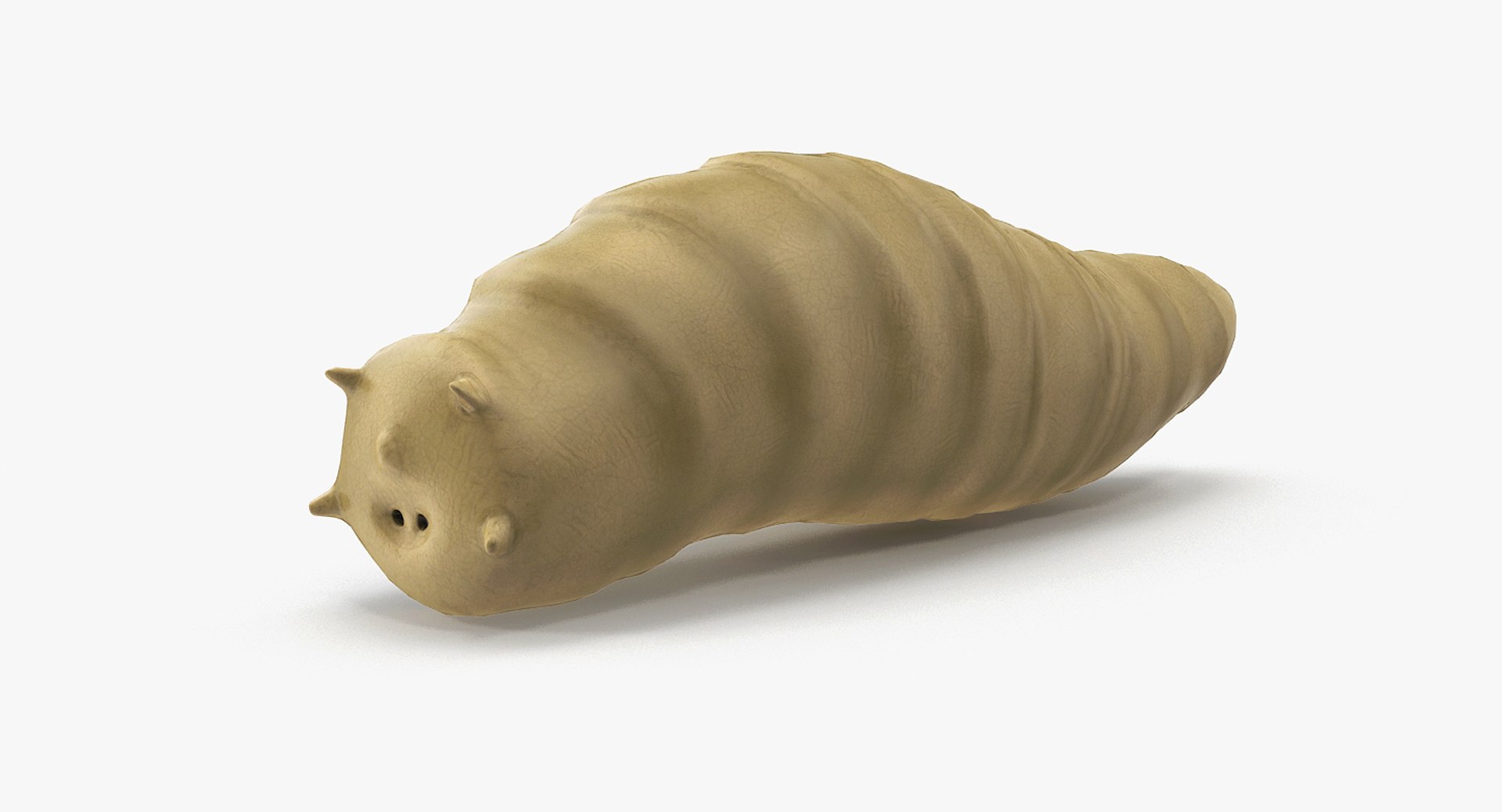 Maggot 3D Model - TurboSquid 1198689