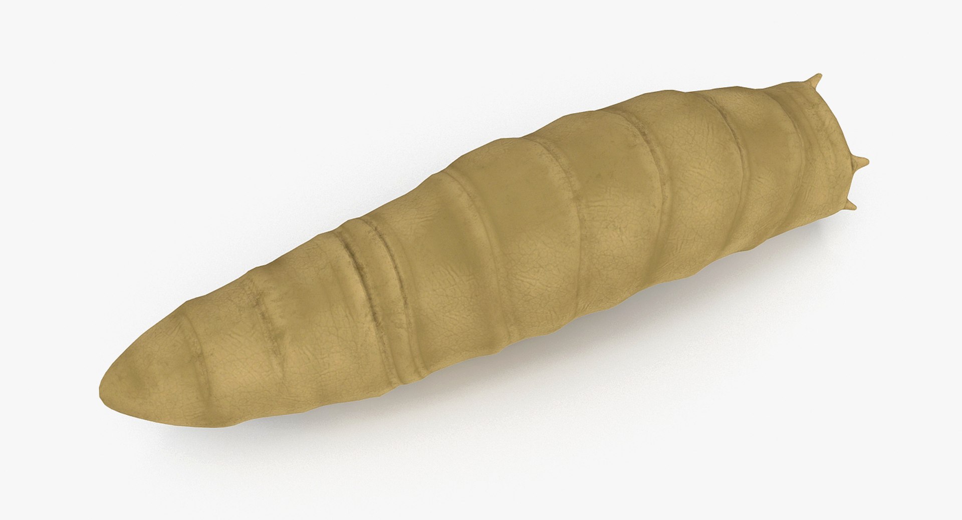 Maggot 3D Model - TurboSquid 1198689