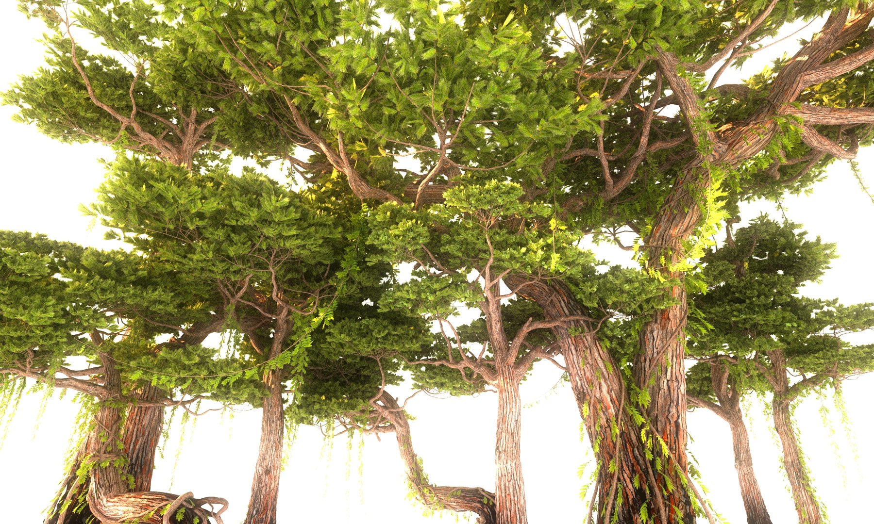 Italian Pine Tree Animated Pack 3D Model - TurboSquid 1788921