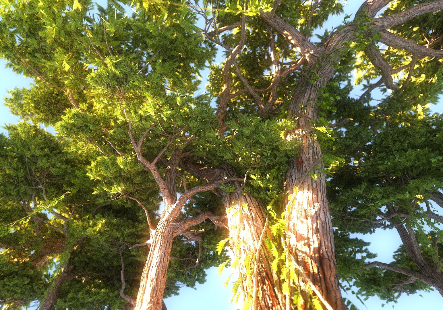 Italian Pine Tree Animated Pack 3D Model - TurboSquid 1788921