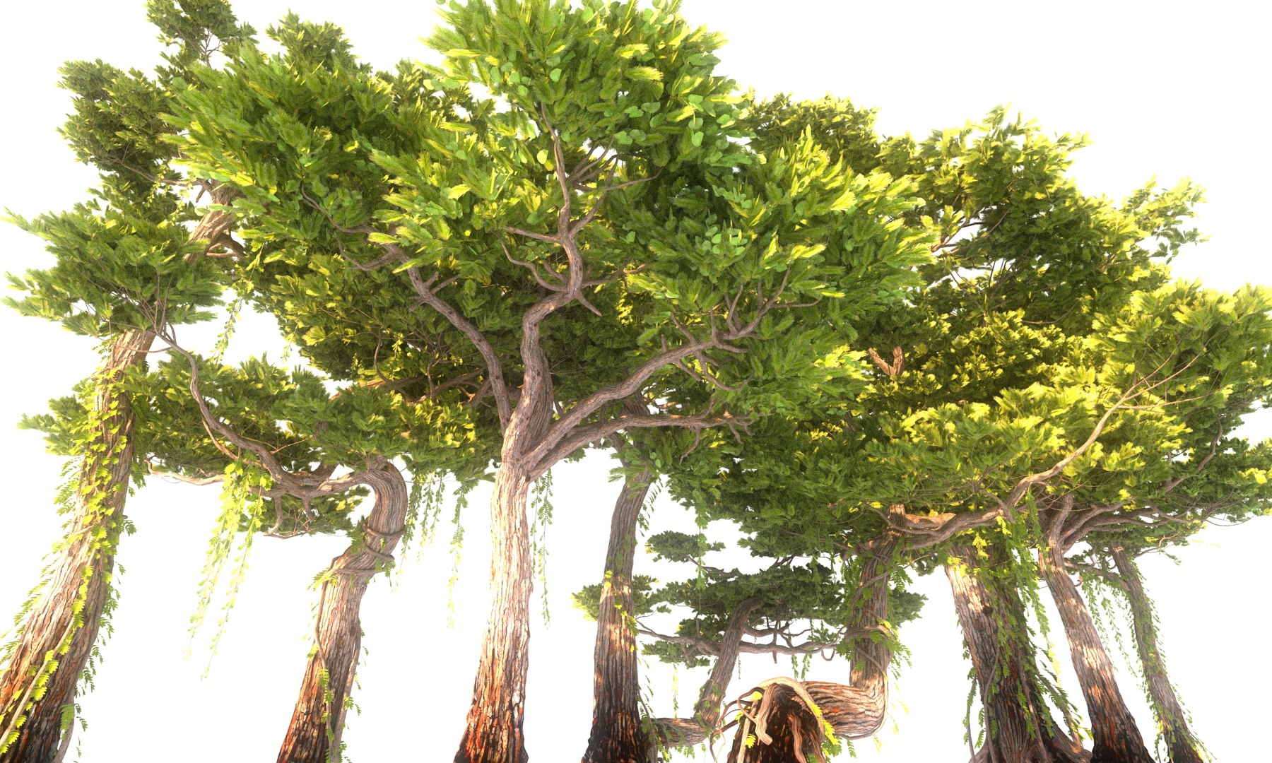 Italian Pine Tree Animated Pack 3D Model - TurboSquid 1788921