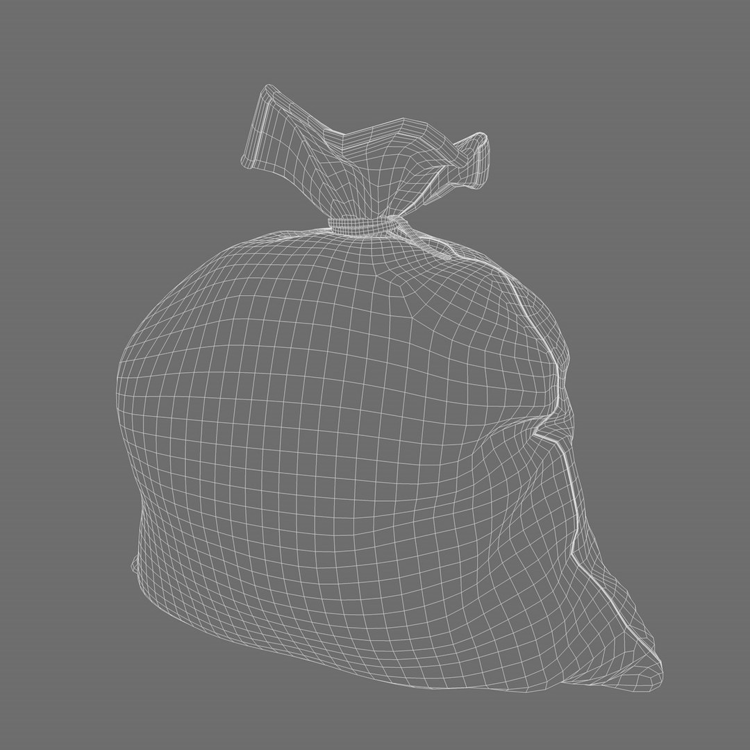 Money Bag 3d Model
