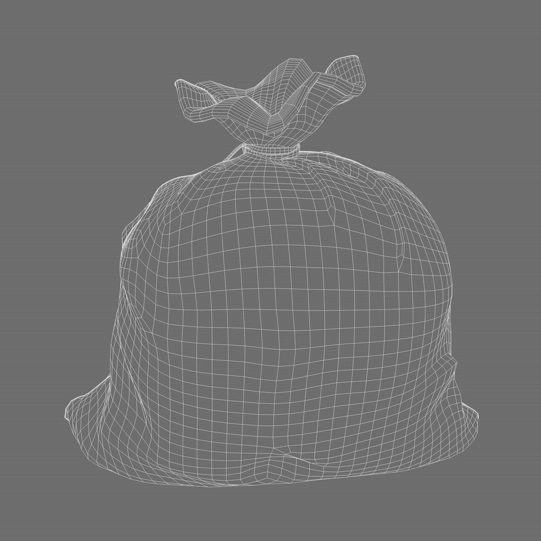 Money Bag 3d Model