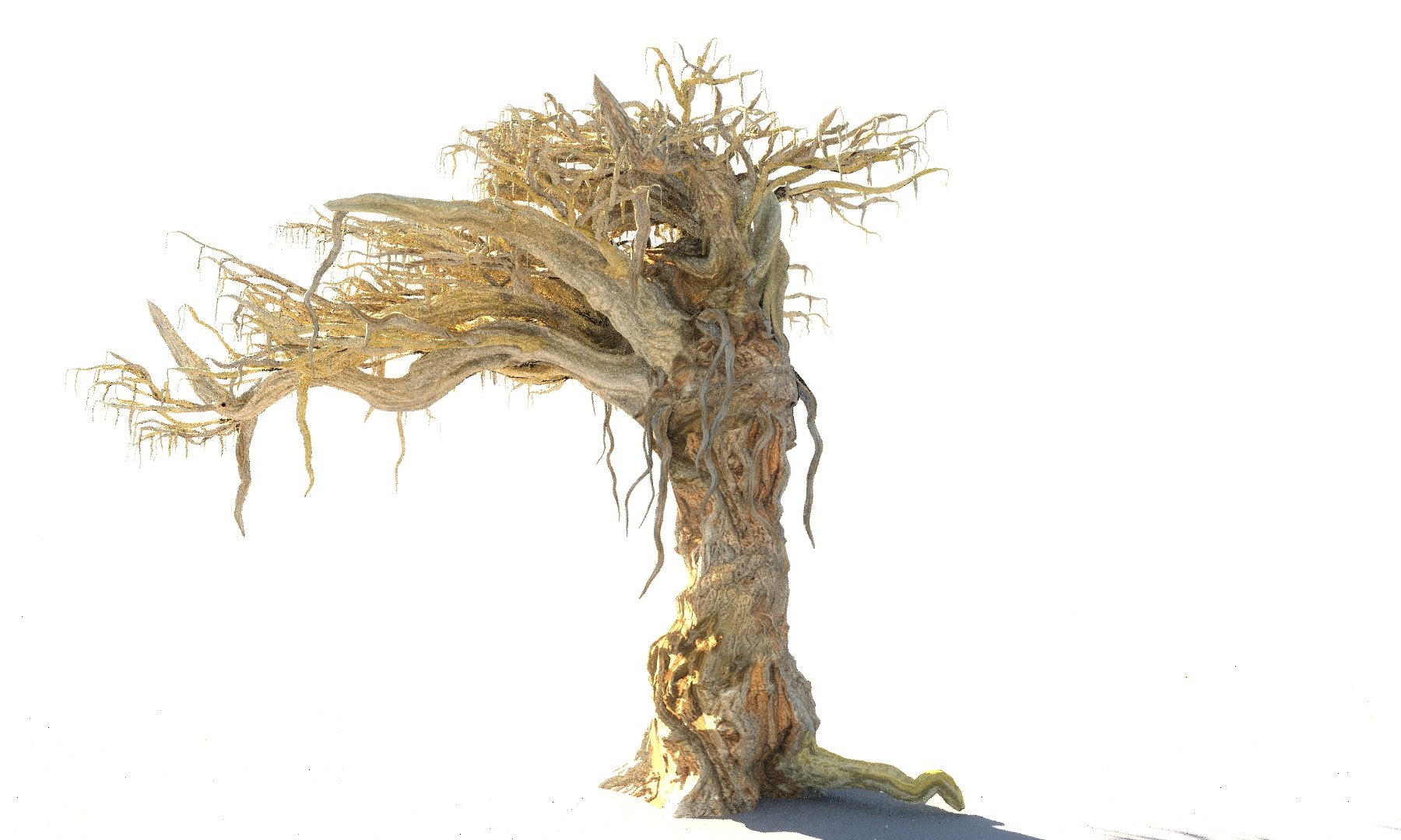 Dragon Tree Hd Pack 3D - TurboSquid 1392222