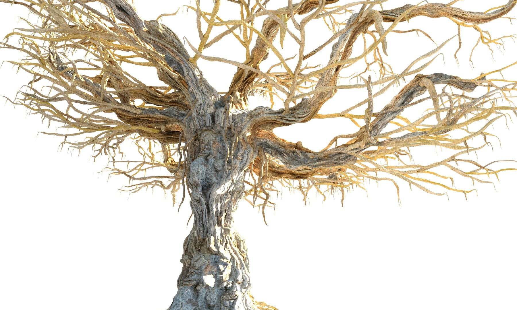 Dragon Tree Hd Pack 3D - TurboSquid 1392222