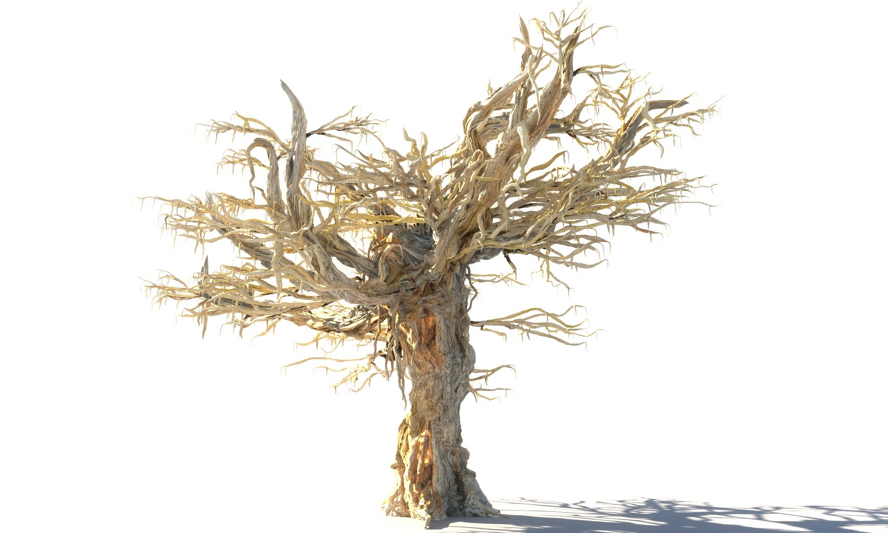Dragon Tree Hd Pack 3D - TurboSquid 1392222