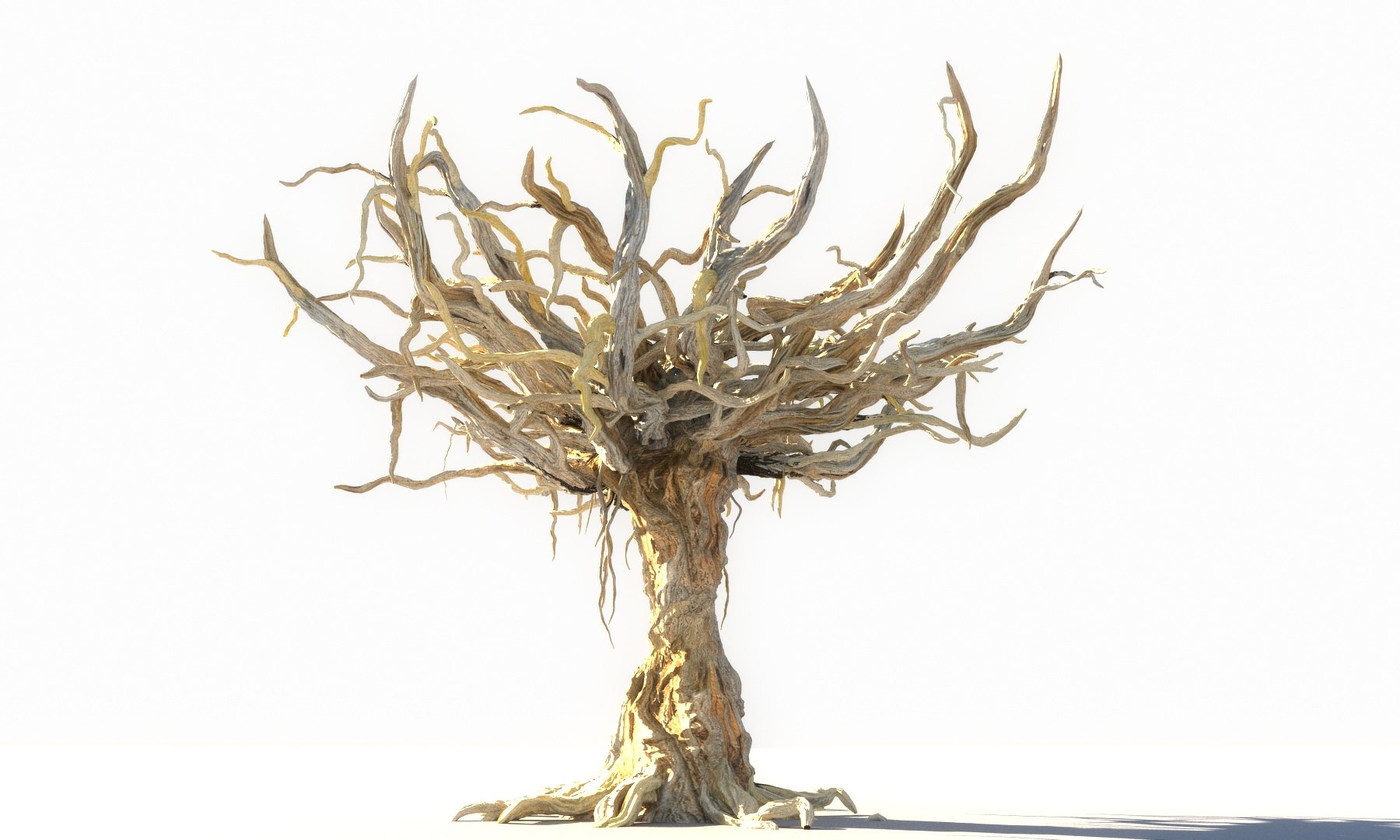 Dragon Tree Hd Pack 3D - TurboSquid 1392222