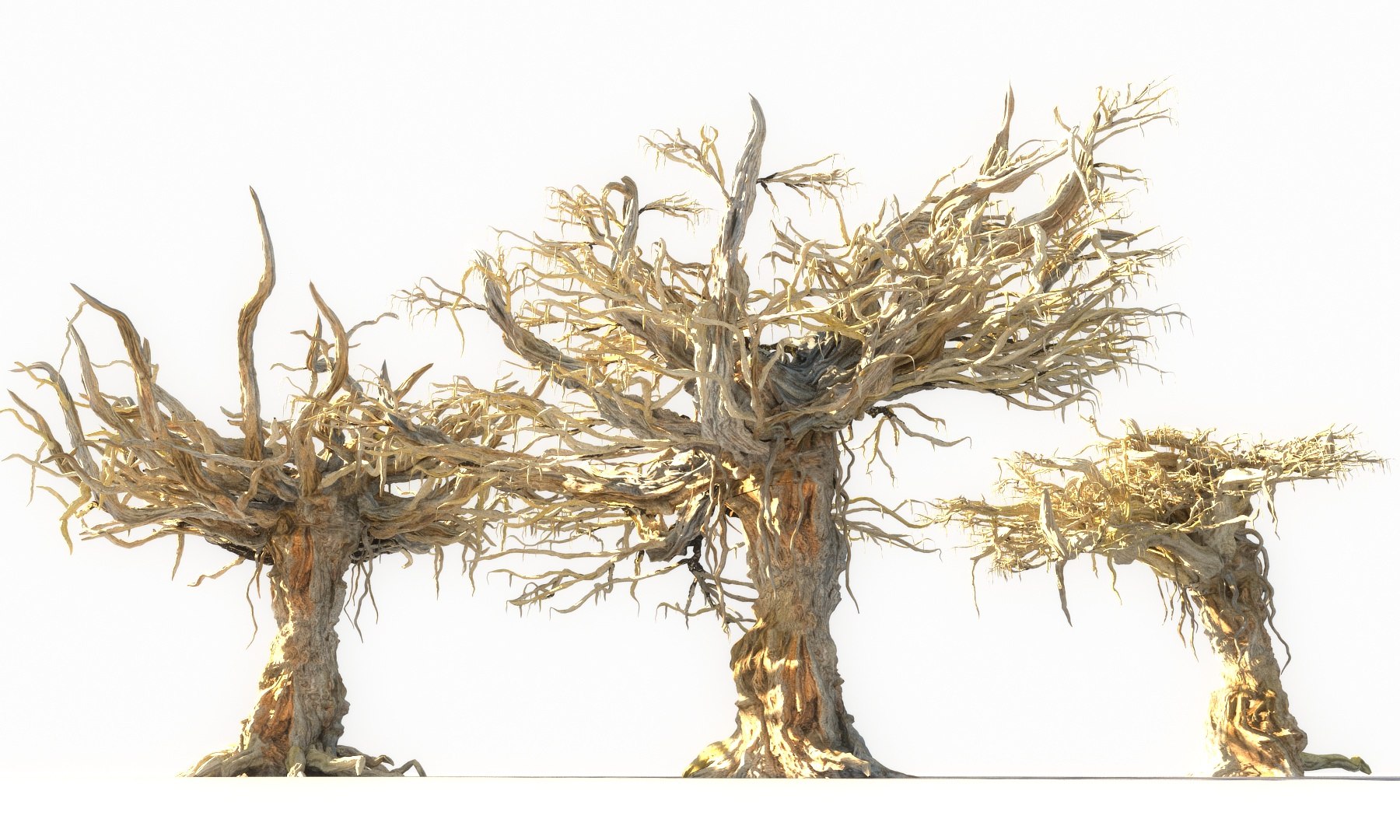 Dragon Tree Hd Pack 3D - TurboSquid 1392222