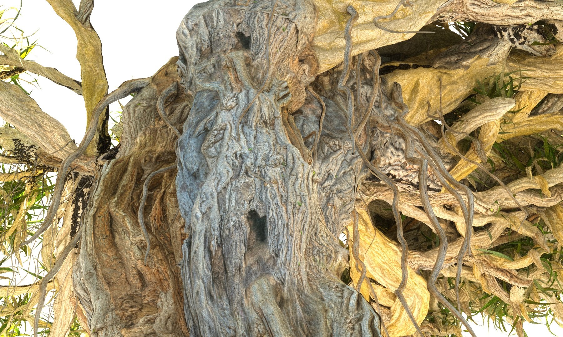 Dragon Tree Hd Pack 3D - TurboSquid 1392222