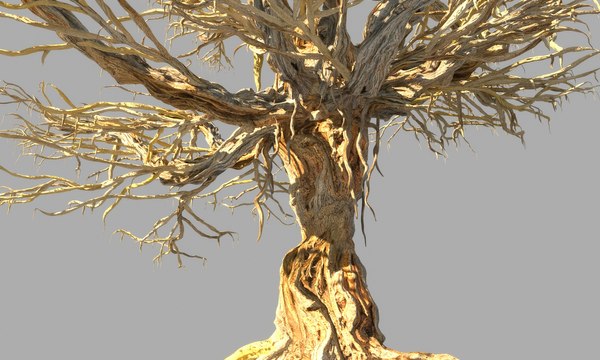 Dragon tree hd pack 3D - TurboSquid 1392222