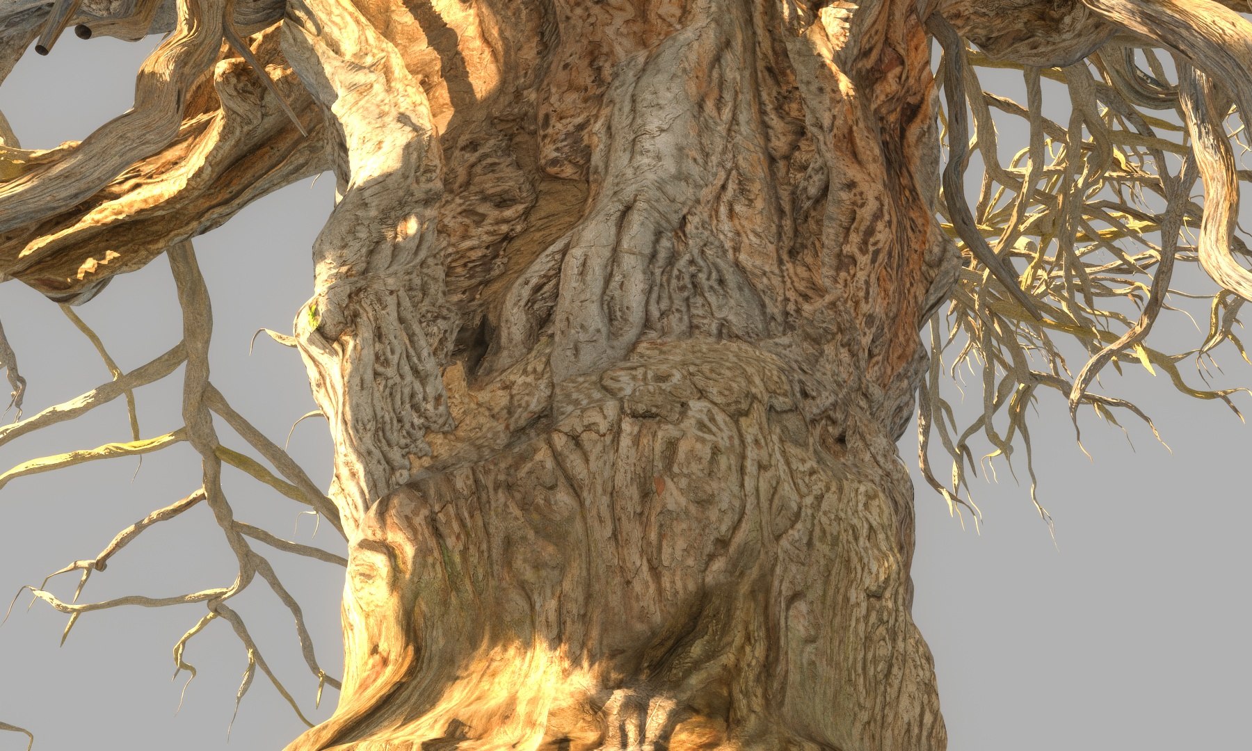 Dragon Tree Hd Pack 3D - TurboSquid 1392222