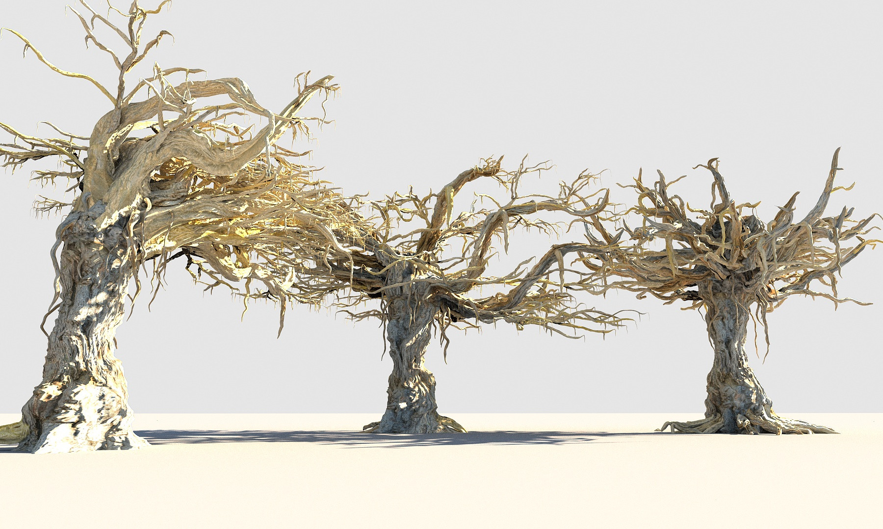 Dragon tree hd pack 3D - TurboSquid 1392222