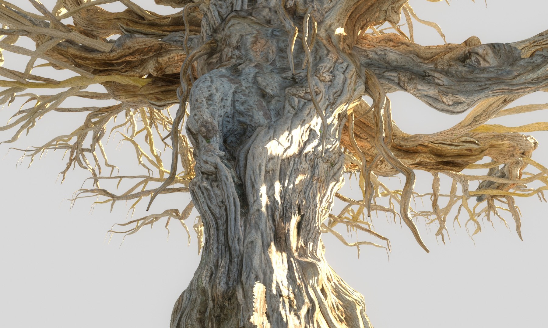 Dragon Tree Hd Pack 3D - TurboSquid 1392222