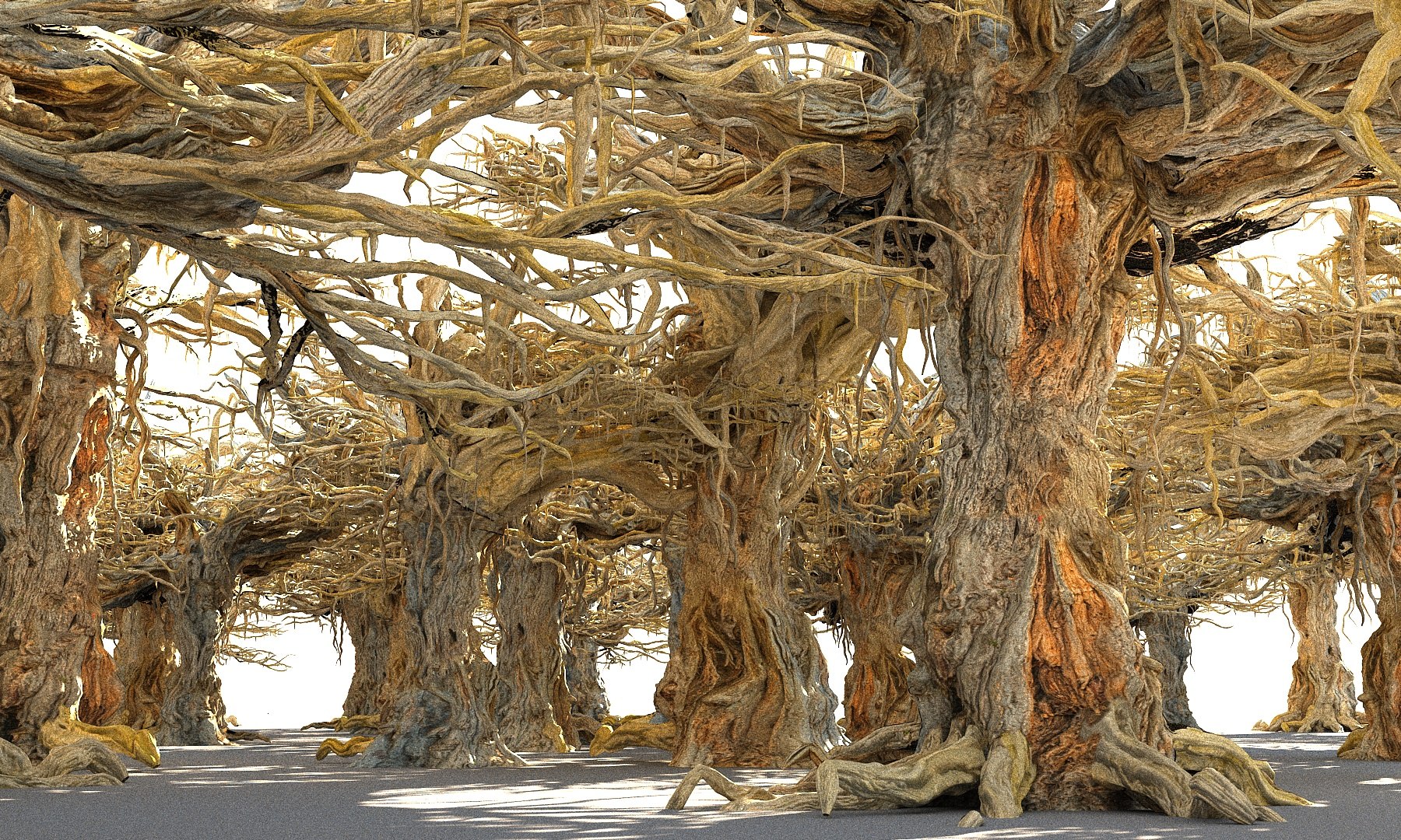 Dragon Tree Hd Pack 3D - TurboSquid 1392222