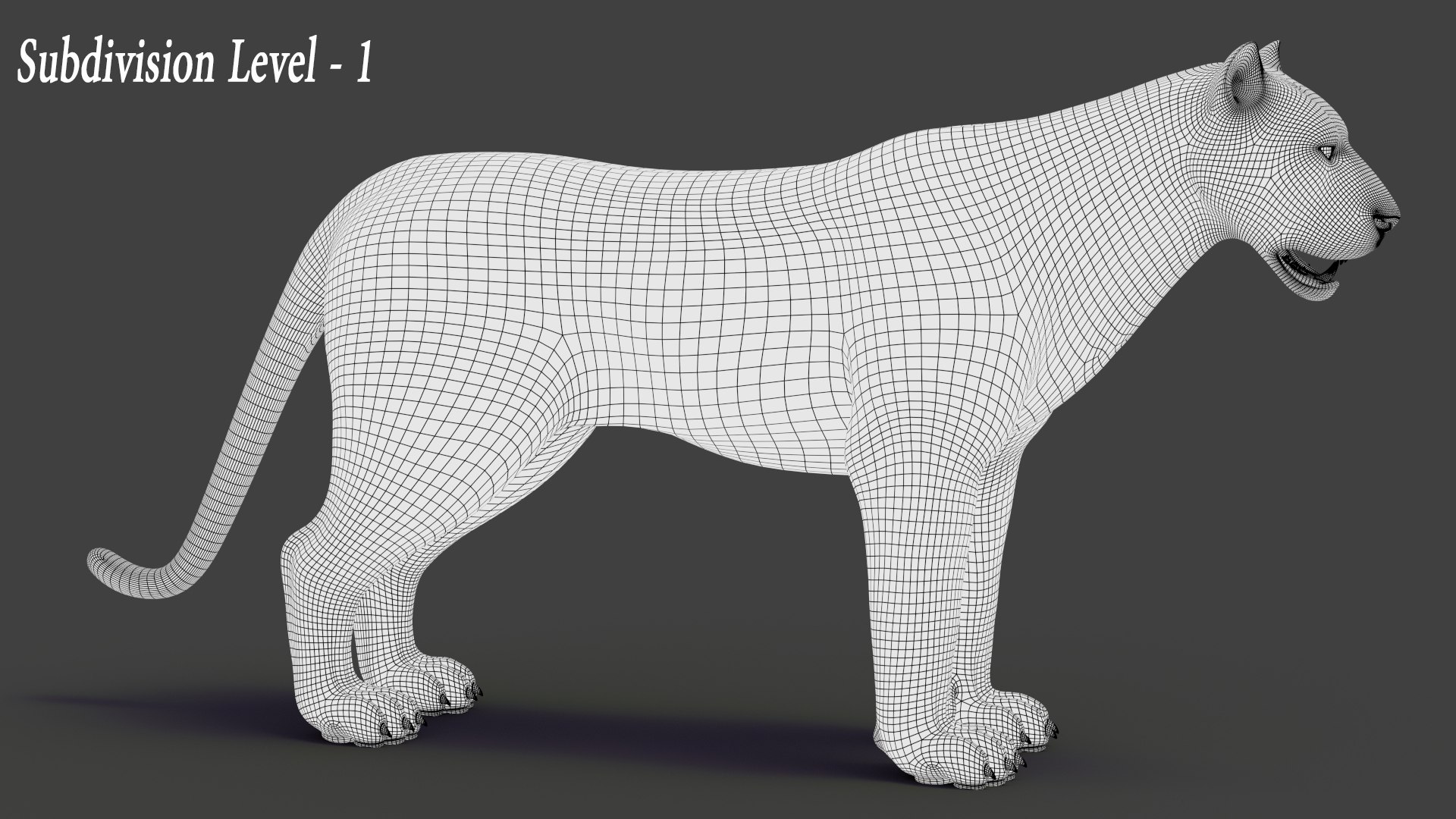 3D Tiger 3 FUR Rigged - TurboSquid 1784294