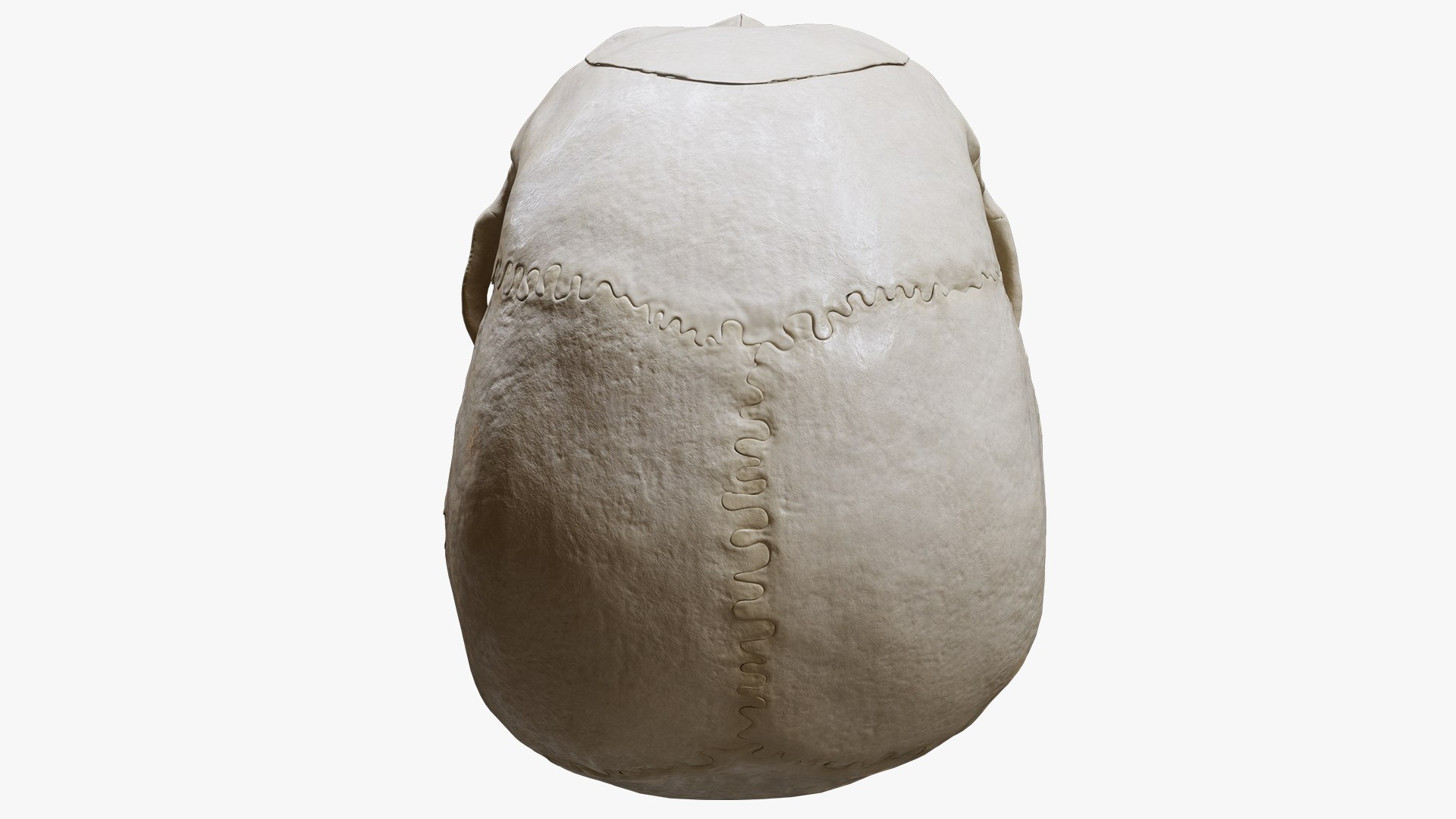 3D Human Skull Explode Anatomy Atlas Model - TurboSquid 1808725