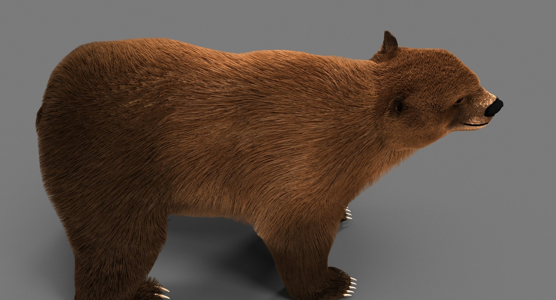3D Bear - TurboSquid 1162095