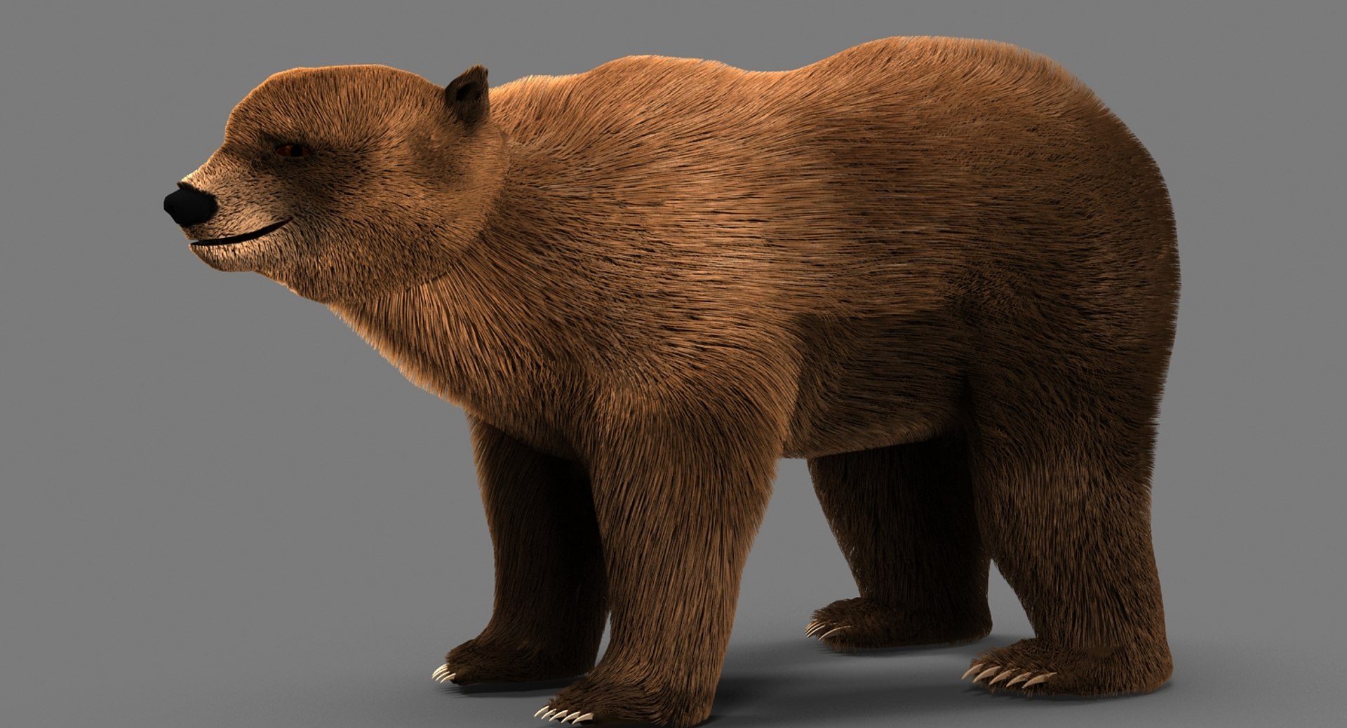 3D Bear - TurboSquid 1162095