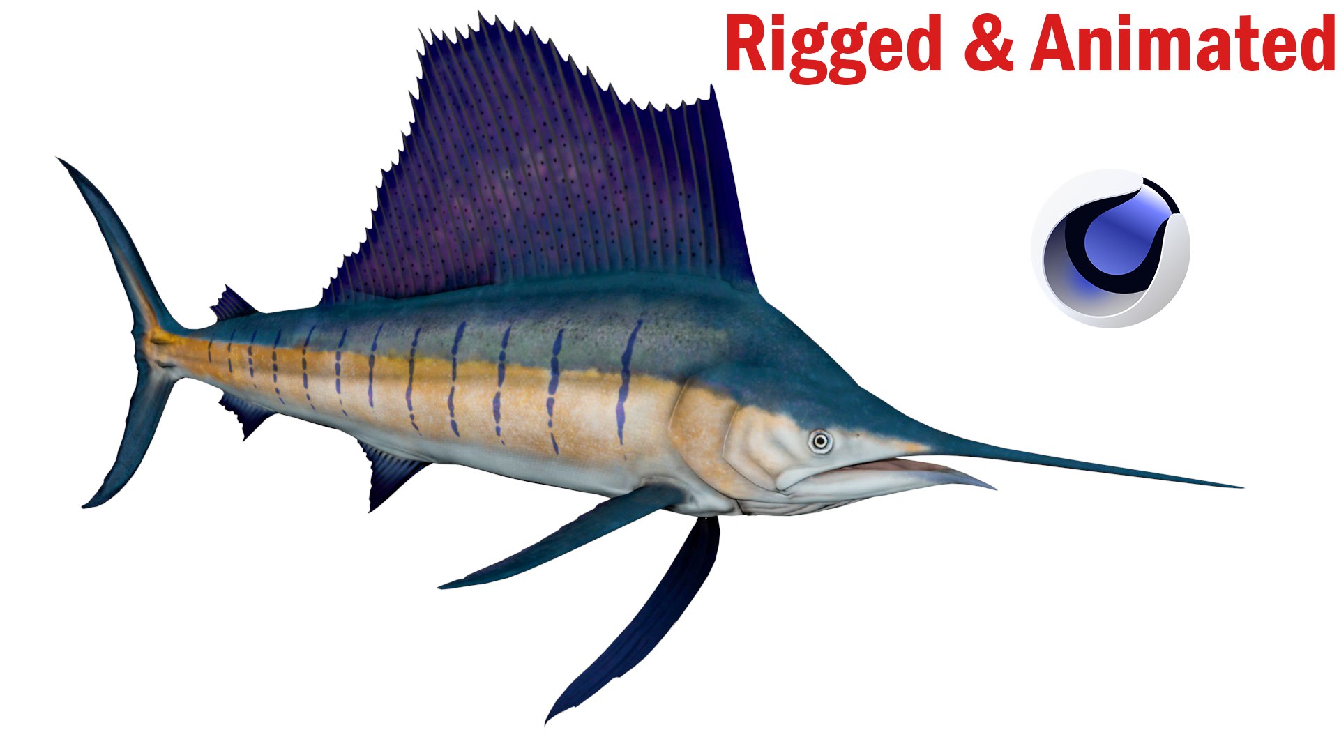 Sword Fish Rigged And Animated 3D Model - TurboSquid 2335772