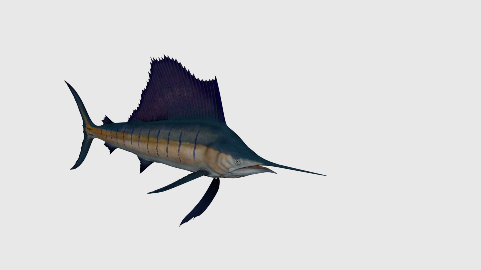 Sword Fish Rigged And Animated 3D Model - TurboSquid 2335772