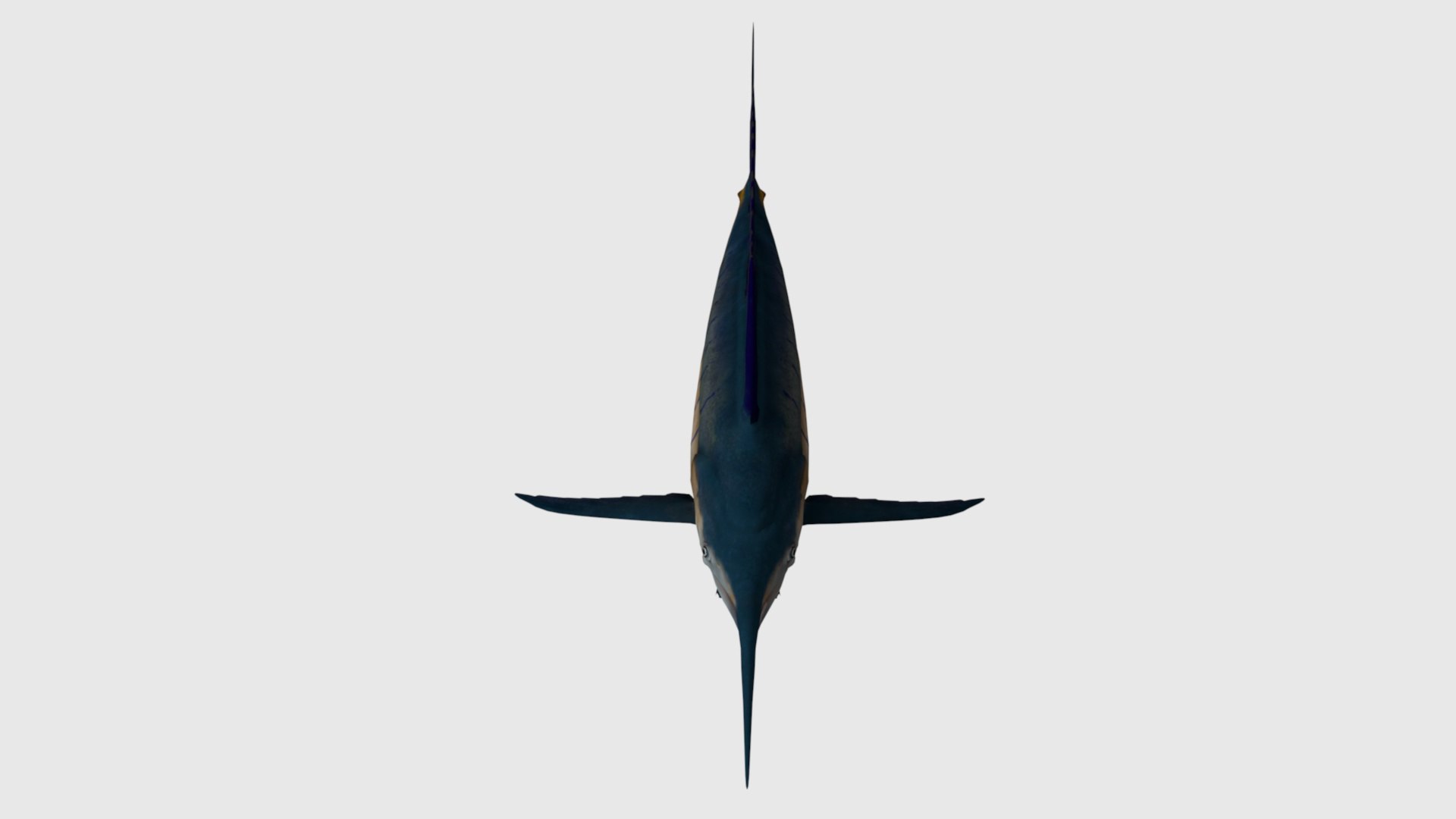 Sword Fish Rigged And Animated 3D Model - TurboSquid 2335772