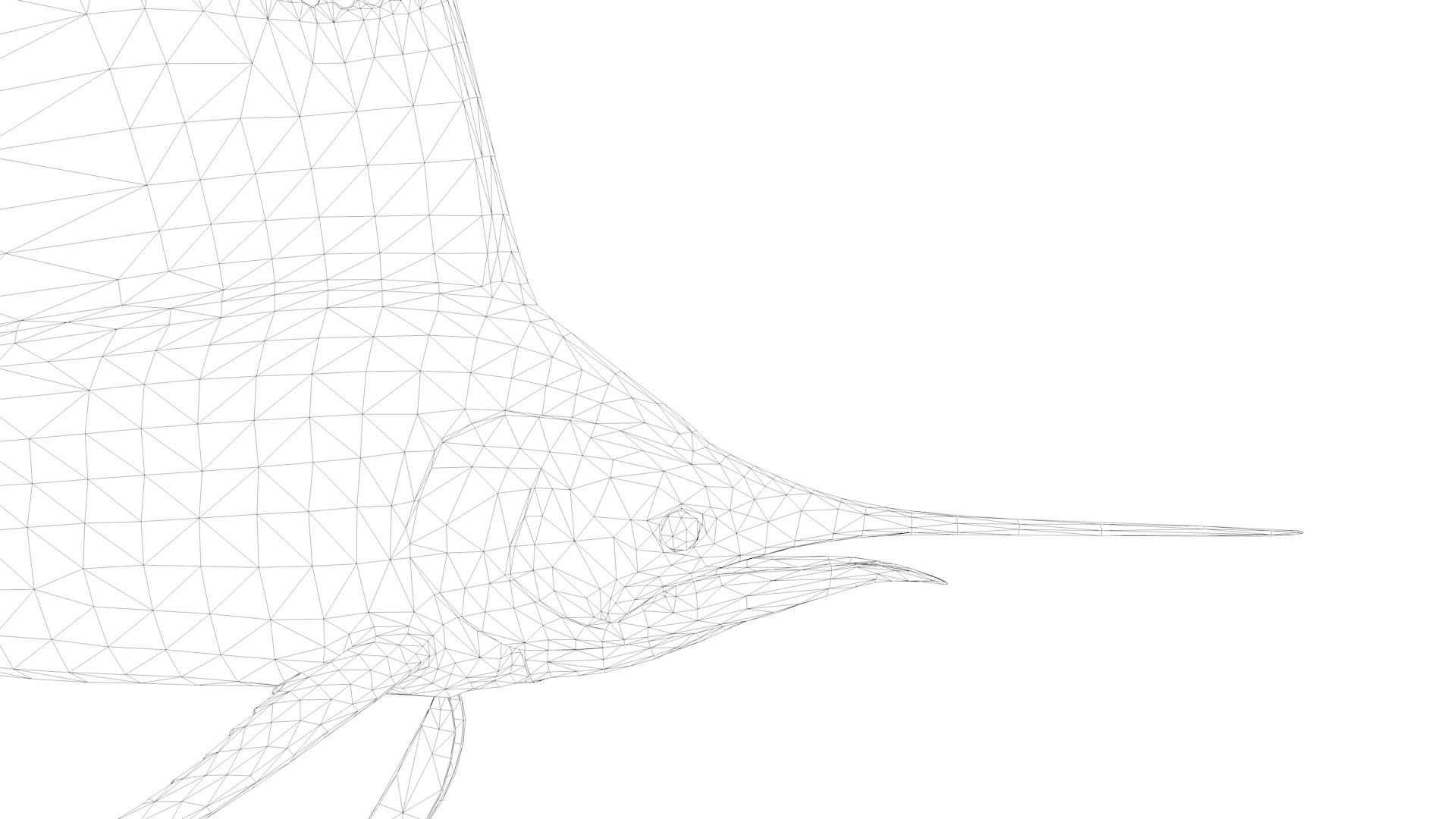 Sword Fish Rigged And Animated 3D Model - TurboSquid 2335772
