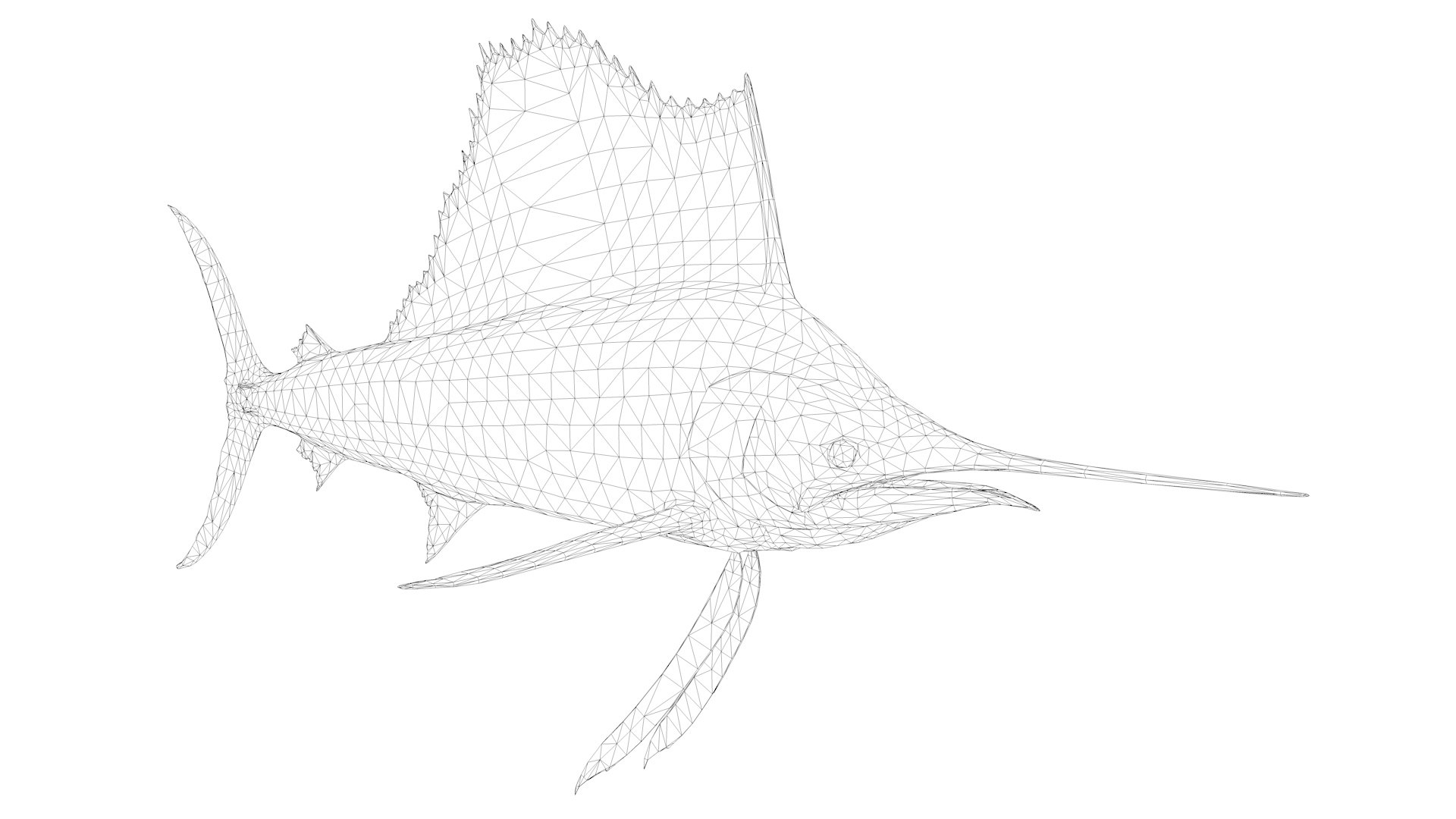 Sword Fish Rigged And Animated 3D Model - TurboSquid 2335772