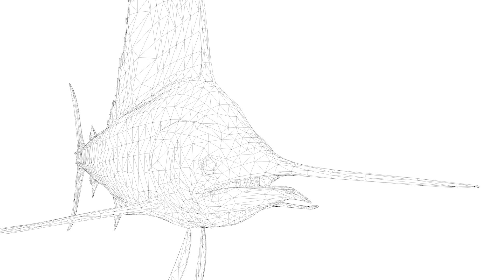 Sword Fish Rigged And Animated 3D Model - TurboSquid 2335772