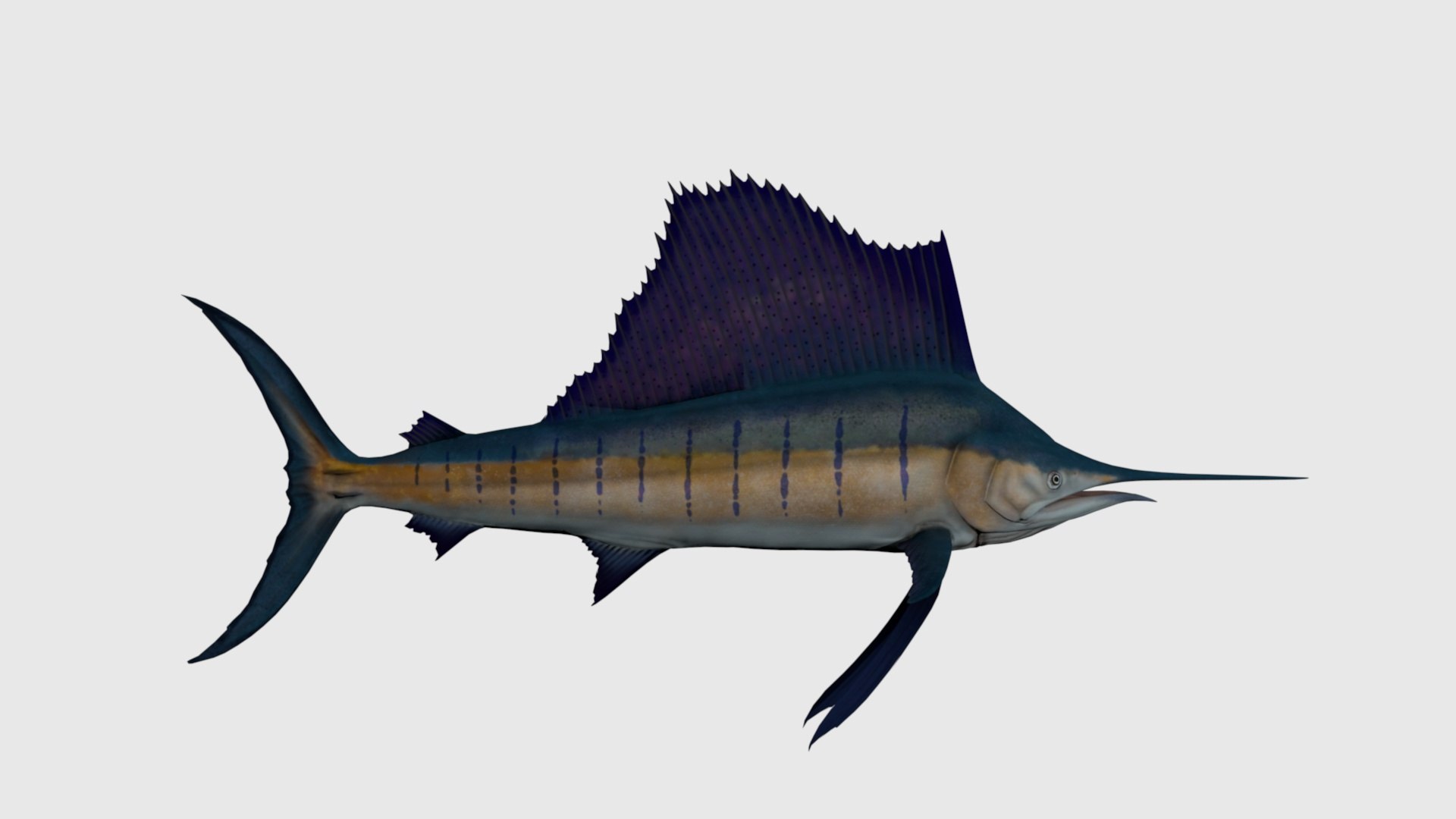 Sword Fish Rigged And Animated 3D Model - TurboSquid 2335772