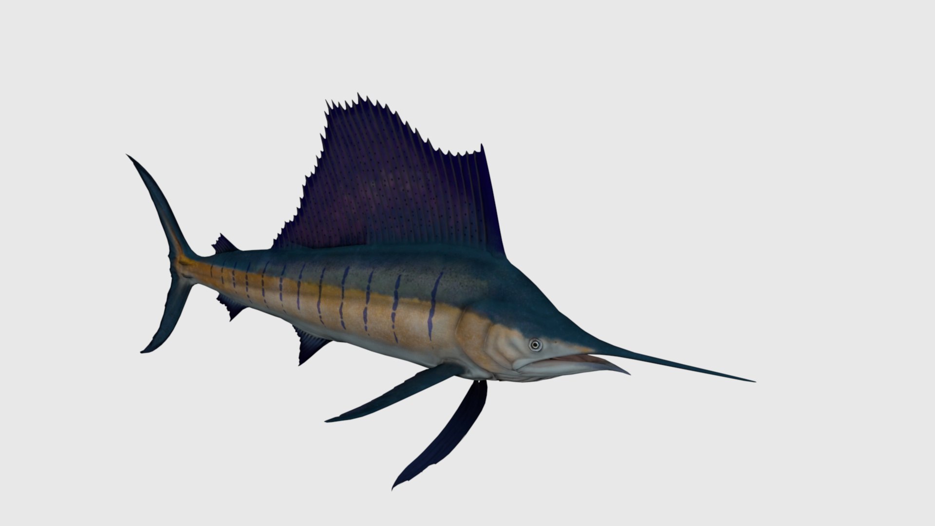 Sword Fish Rigged And Animated 3D Model - TurboSquid 2335772