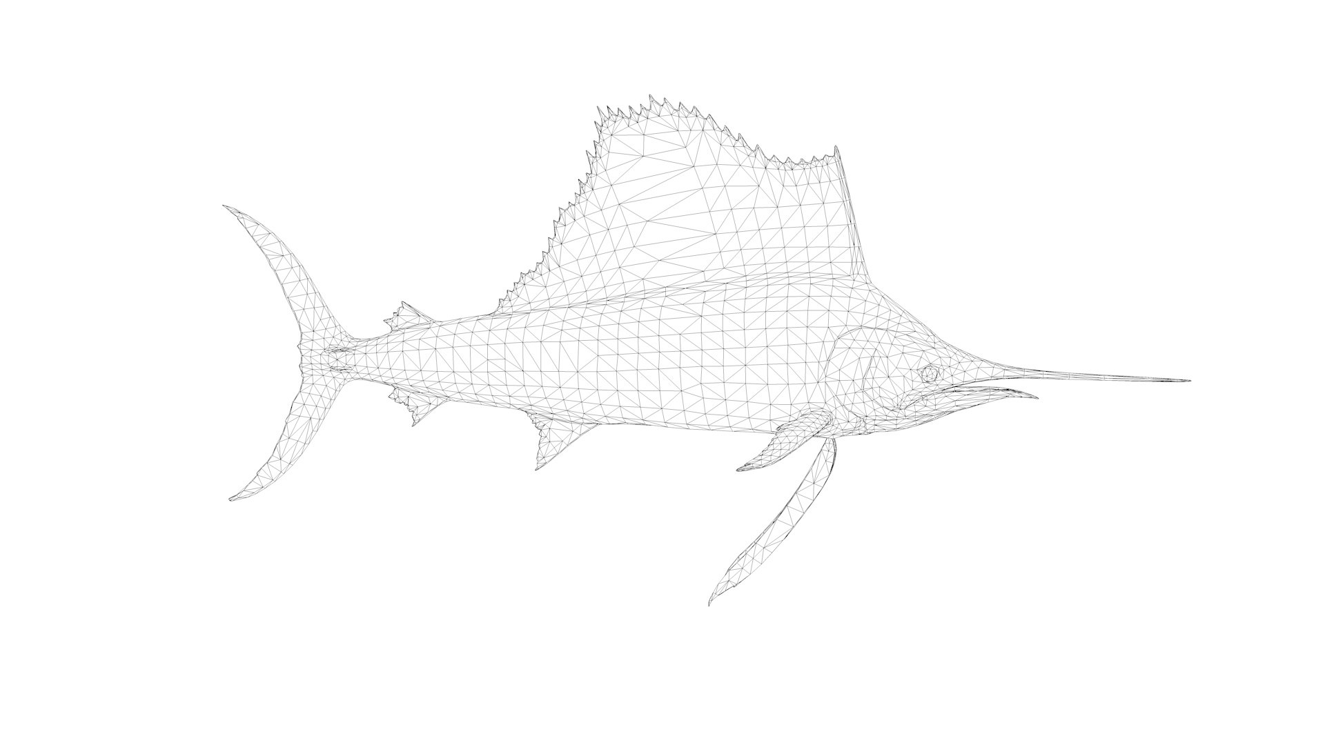 Sword Fish Rigged And Animated 3D Model - TurboSquid 2335772