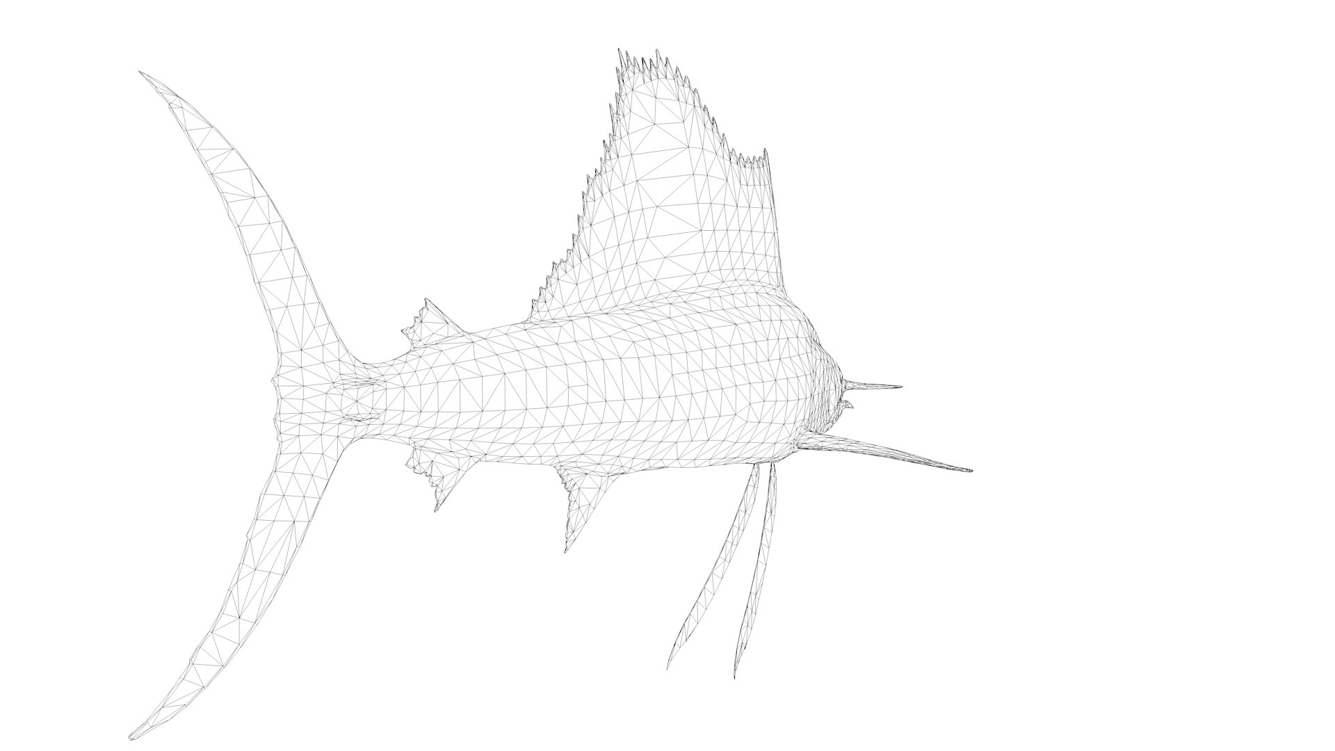 Sword Fish Rigged And Animated 3D Model - TurboSquid 2335772