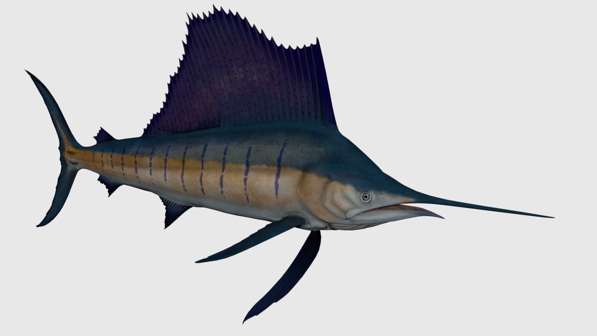 Sword Fish Rigged And Animated 3D Model - TurboSquid 2335772