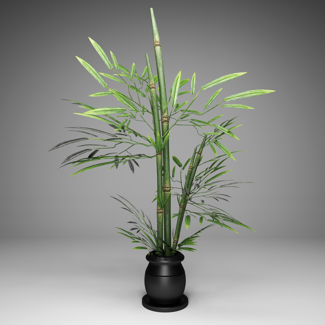 Plant bamboo tree 3D model - TurboSquid 1357448
