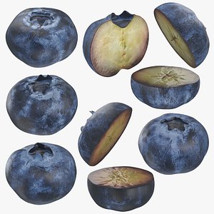 3D Blueberry Models - Browse & Download Formats - TurboSquid